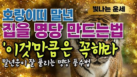 호랑이띠운세 말년운세🏠명당자리 호랑이띠는 이것해야 집 명당 만듭니다🏘️명당풍수 이사갈때 이렇게 해야 재물운 열립니다🌳말년운 말년운이 좋은 사주 호랑이띠 운세 범띠운세