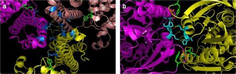 Visual Graphics Tool Pymol Was Used To Visualize The Interface Residues Download Scientific