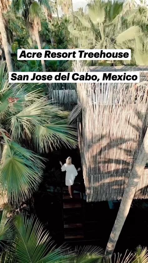 Acre Resort Treehouse San Jose Del Cabo Mexico San Jose Del Cabo