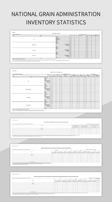National Grain Administration Inventory Statistics Excel Template And