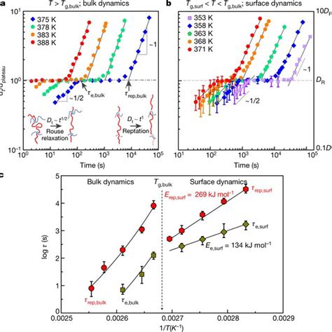 Polymer Nano Rheology And Surface Chain Dynamics A B Time Evolution Download Scientific