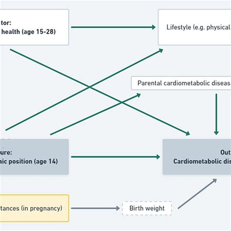 Simplified Directed Acyclic Graph Of Assumed Structures Legend Grey Download Scientific