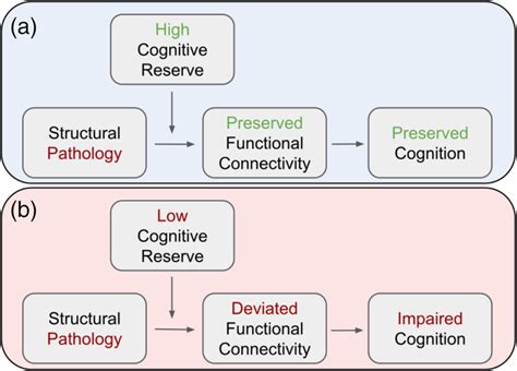 cognitive reserve in pwms we hypothesize that pwms with higher