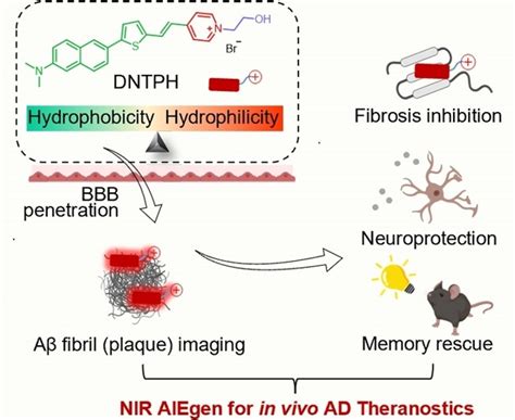Near‐infrared Aggregation‐induced Emission Luminogens For In Vivo