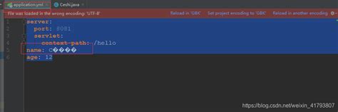 处理springboot项目中yaml文件获取属性值中文乱码情况yaml获取的中文乱码 Csdn博客