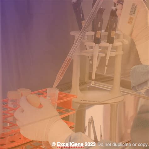 Bioprocess Development Excellgene Cphi Online