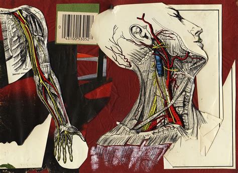 Anatomically Correct Sketches Art Artwork