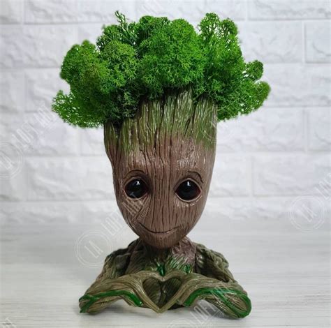 Кашпо Горшок Грут Вазон со мхом Мох в Горшках Эко Подарок ребенку 650 грн Витвори