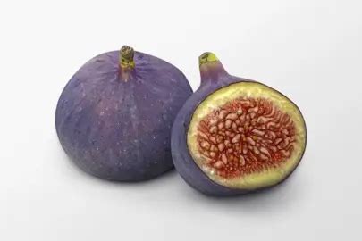 How To Grow Fig Trees In NZ Planting Care Guide