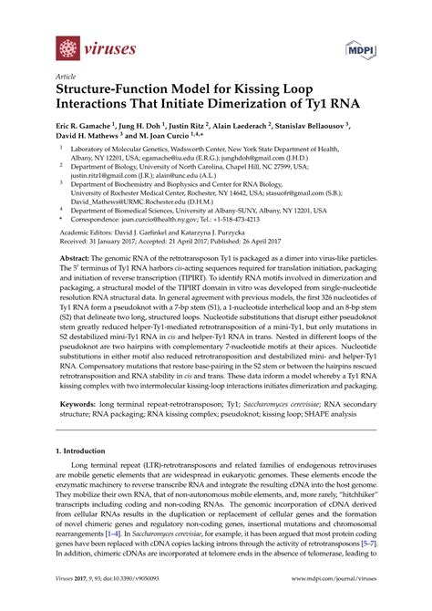 Structure Function Model For Kissing Loop Interactions That Initiate