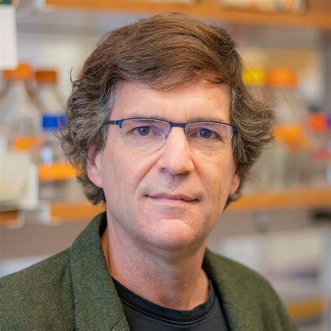Erik Sontheimer Aiche