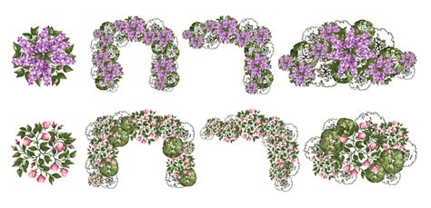 벚꽃 장미와 라일락 나무는 건축 평면도를 위해 사용됩니다 측근 디자인 다양한 나무 관목 및 관목은 조경 설계 계획을 위한 평면도입니다 벡터 개체 그룹에 대한 스톡 벡터 아트