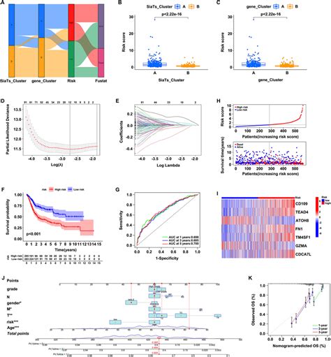 Construction Of The Srgs Related Prognostic Signature And The Download Scientific Diagram