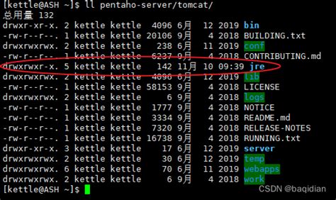 Linux下kettle83服务器部署linux内网服务器装kettle Csdn博客