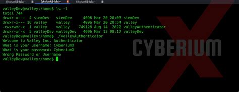 Tryhackme Valley Writeup Cyberiumx