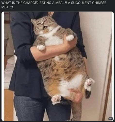 Gentlemen This Is Democracy Manifest Album On Imgur