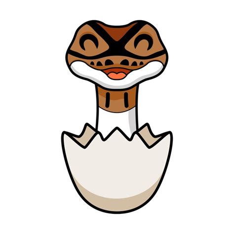 Premium Vector Cute Pied Ball Python Cartoon Inside An Egg
