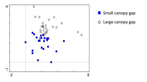 The Effect Of Size And Origin Of Canopy Gaps In The Mixed And Pure