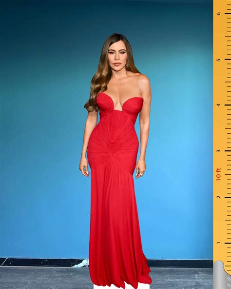 Sofía Vergara Life Size Cardboard Cutout Model Figure Standee Model
