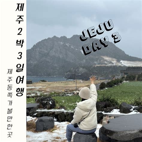 제주 동쪽 가볼만한곳 핫플 2박3일 제주여행 3일차 동쪽송당 동화마을 스타벅스 낙타트래킹 네이버 블로그