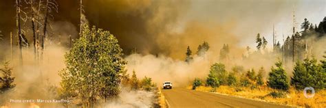Urgent Climate Action Can Secure A Liveable Future For All Developmentaid