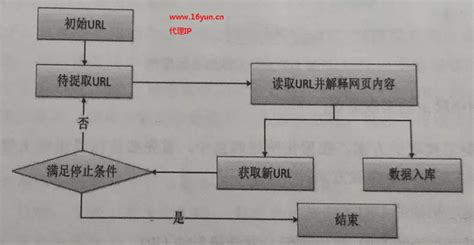 Python爬虫的定义和实践原理爬虫综合实训定义 Csdn博客