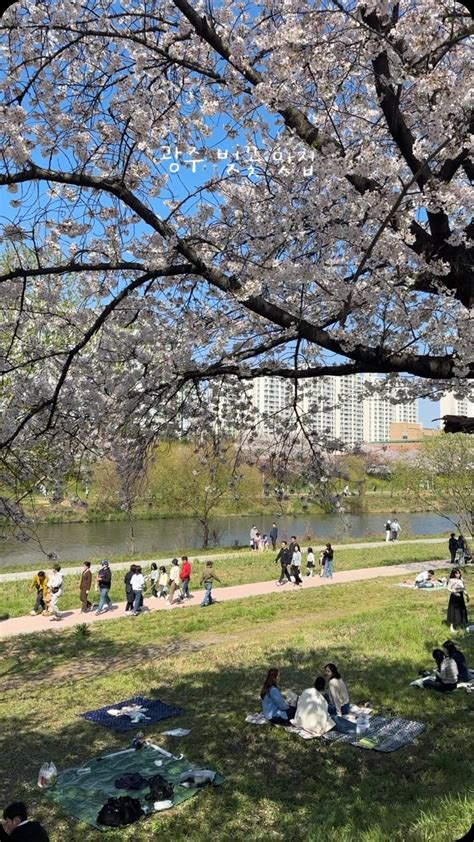튤니 홍콩여행 ️ 공유 마감 3박 4일 총 경비 80만원 오사카 여행 🏯 최근 릴스에서 10만원대 숙소 모음집 공유하고있어요 🤗 경비 총 796000 ️