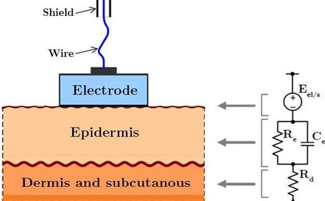 Skin Electrode Interface Layers And First Order Electrical Equivalent