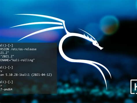 A Penetration Test And Vulnerability Assessment Upwork