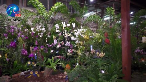 Move To Stem Import Of Flowers Caribbean Broadcasting Corporation