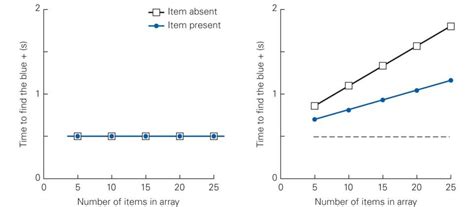 Sensory Coding Neupsy Key