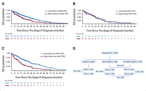 Tp53 Gain Of Function And Nongain Of Function Mutations Are