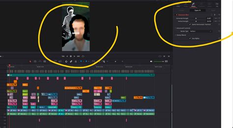 artefacts and bugs on render r davinciresolve