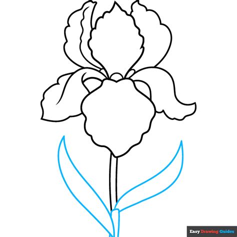 Iris Flower Template Printable