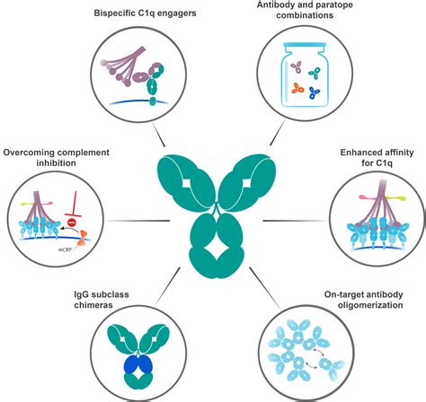 Unlocking The Power Of The Immune Complement System To Advance Cancer Therapies