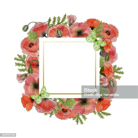 빨간 양귀비가 있는 수채화 카드 붉은 양귀비와 나비 초대장 인사말 기념일 및 생일을 위한 디자인 손 그리기 정사각형 프레임입니다 0명에 대한 스톡 벡터 아트 및 기타 이미지