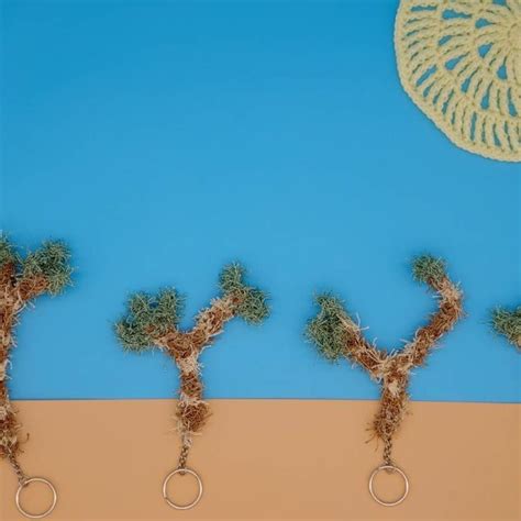 Joshua Tree Crafts Etsy