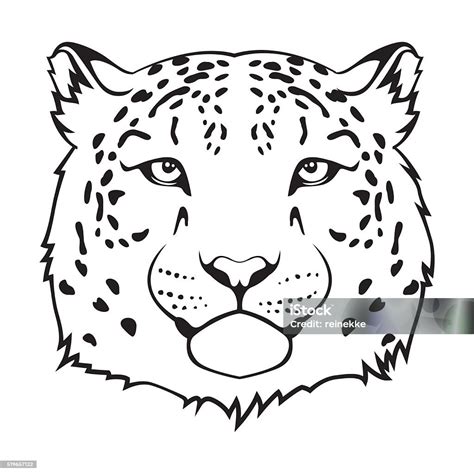 How To Draw A Snow Leopard Face