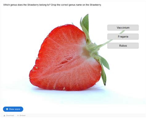 Archivo H5p Example Drag And Drop Png Moodledocs