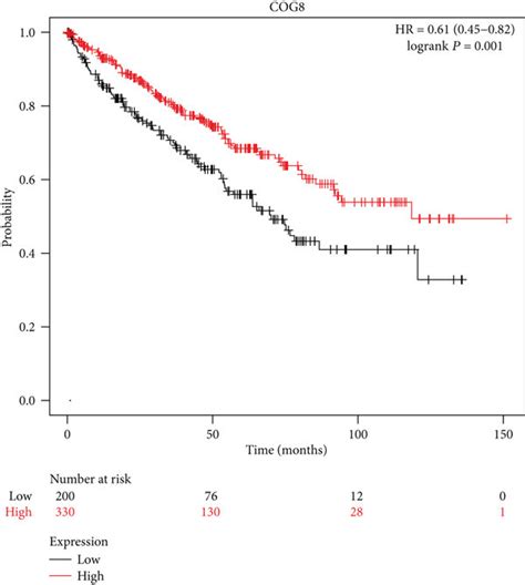 Prognostic Value Of Cog Complex Related With Overall Survival In Kirc