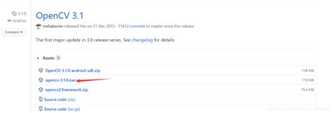 Windows编译运行easypreasyrpexe Csdn博客