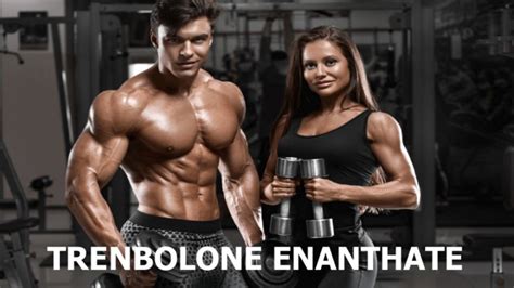 Trenbolone Tout Ce Que Vous Devez Savoir Sur Le Puissant Stéroïde