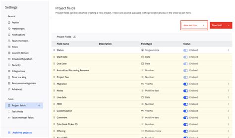 Project Fields Rocketlane