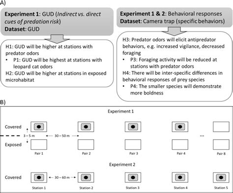 Hypotheses And Schematic Of Experimental Design A Roadmap Of Specific