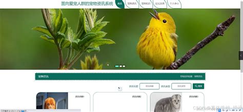 springboot毕设 面向爱宠人群的宠物资讯系统程序 论文 csdn博客