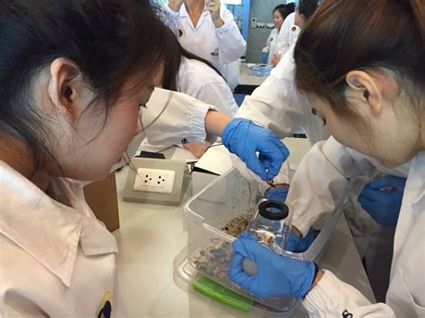 Cellular Respiration Lab My Portfolio