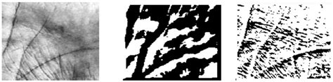 A Original Palmprint Image B Image After Convolving With 2d Gabor