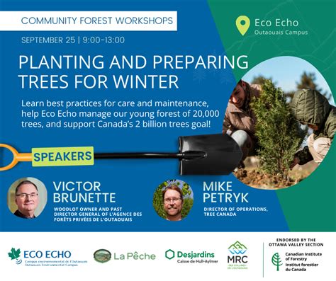 Planting And Preparing Trees For Winter Eco Echo