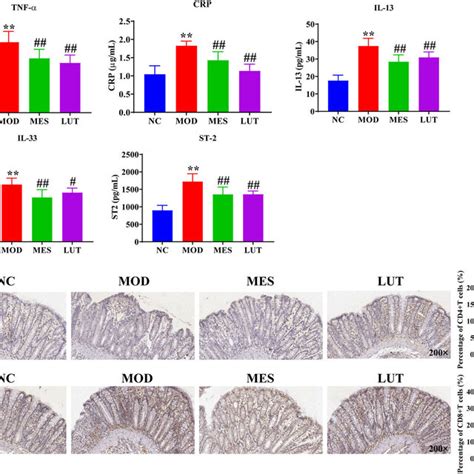effects of lut on inflammation and immune response in uc rats a