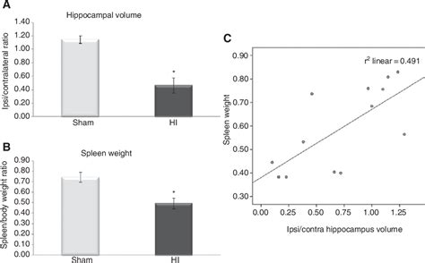 Figure 1 From Experimental Neonatal Hypoxia Ischemia Causes Long Lasting Changes Of Oxidative
